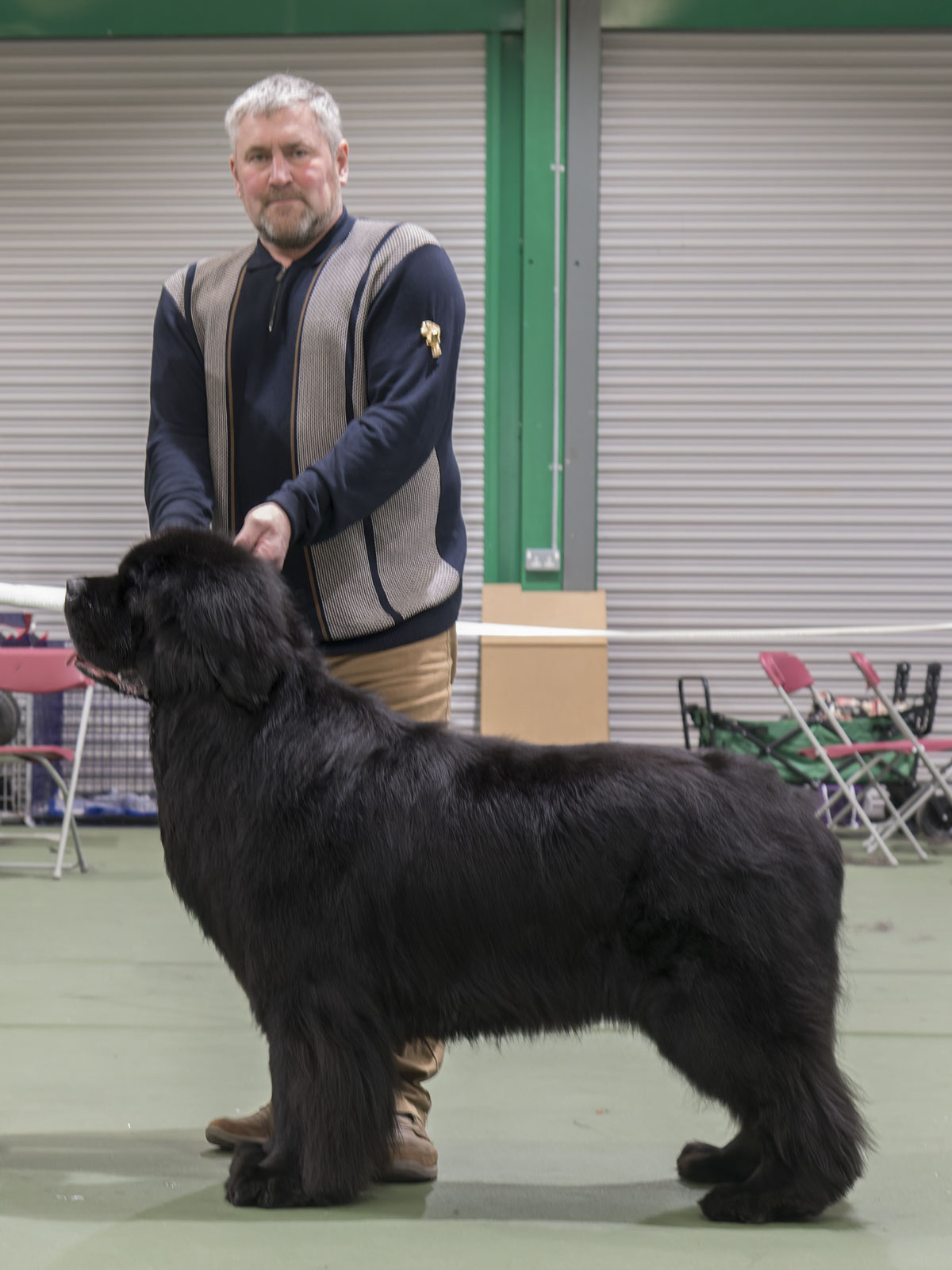 The Newfoundland Club - Homepage