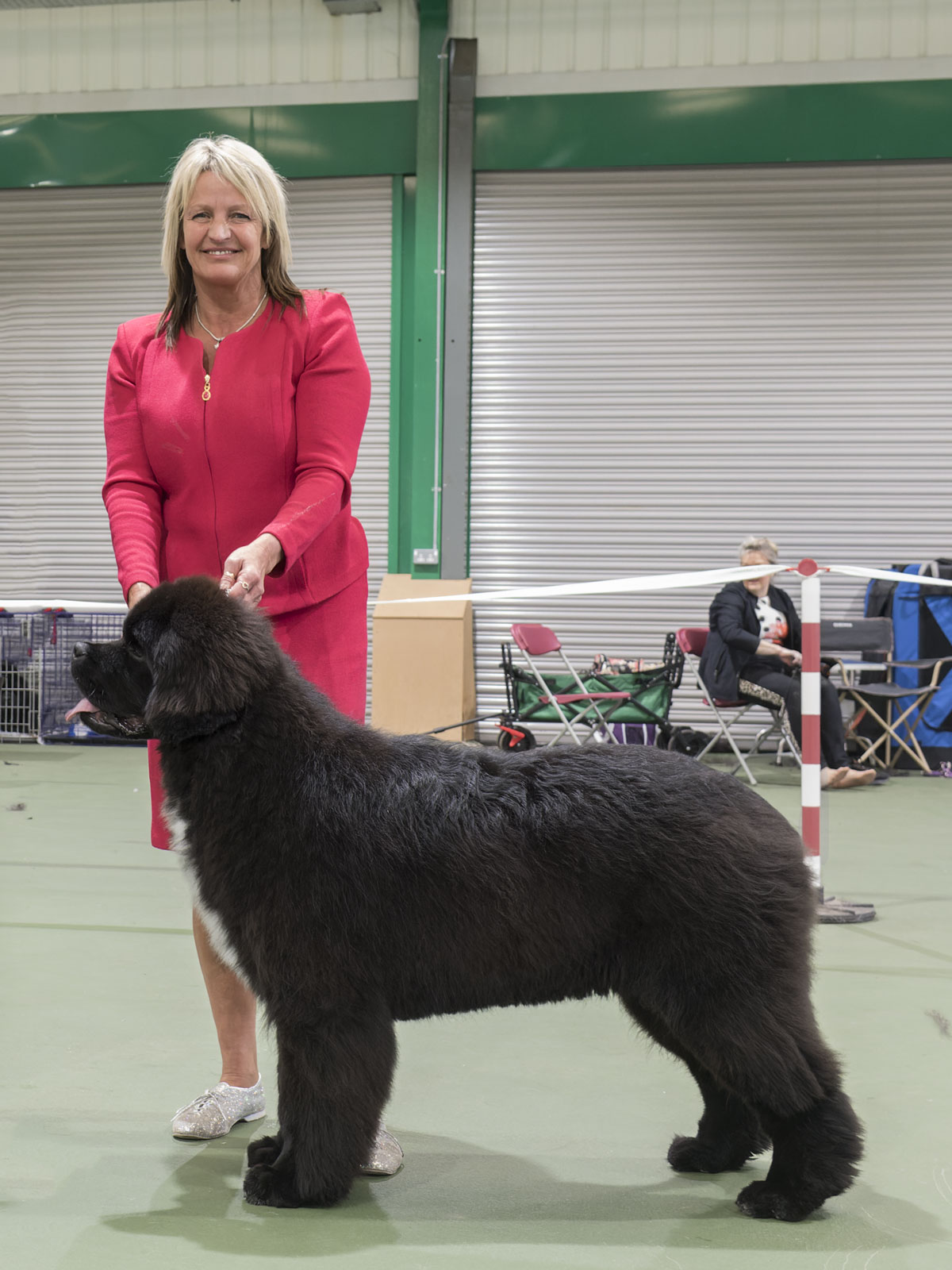 The Newfoundland Club - Homepage