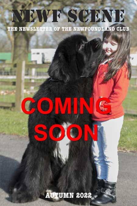 The Newfoundland Club - Homepage